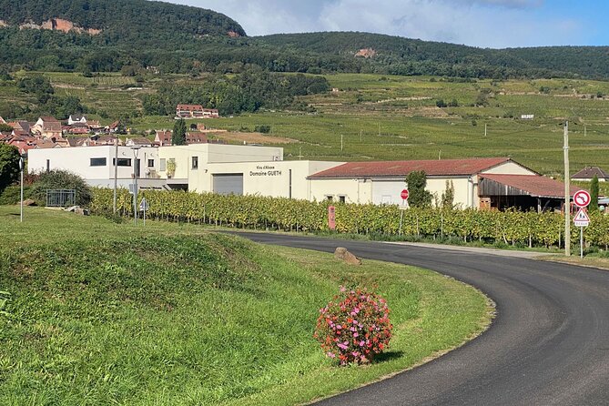 Wine cellar visit & tasting of organic Alsace wines - Final Thoughts