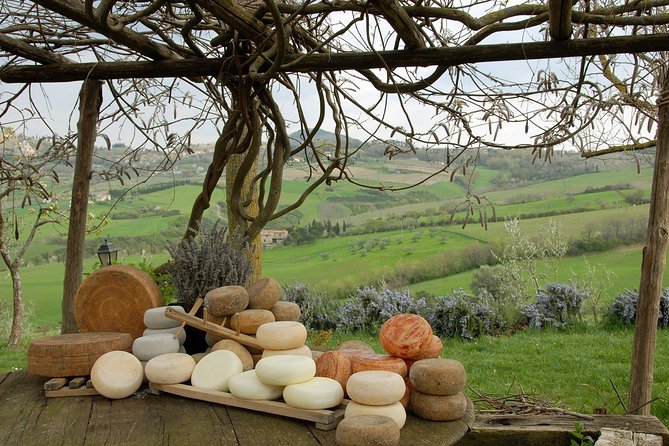 Wine Cheese and EVO Oil Tastings in Tuscany Full-Day from Rome - Key Points
