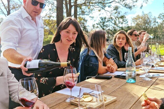 Wine & Cheese Tasting Experience in Hunter Valley - What to Expect on the Tour