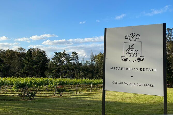 Wine & Cheese Tasting Experience in Hunter Valley - The Engagement and Authenticity