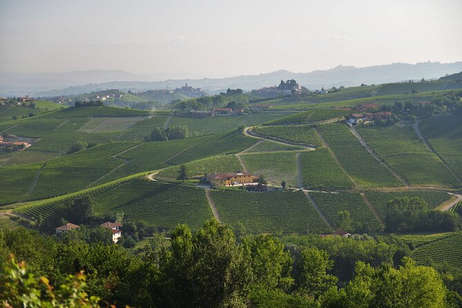 Wine & Chocolate Tour and Tasting in Alba area - Authentic Reviews and Insights