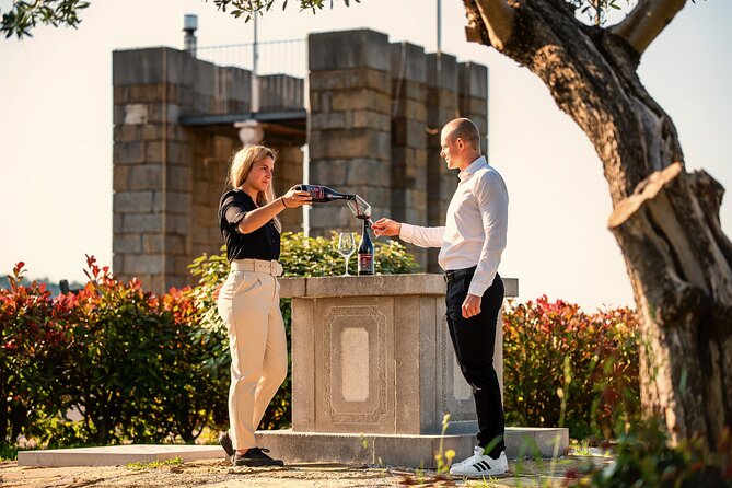 Wine Degustation in the Heart of Slovenian Istria - Key Points