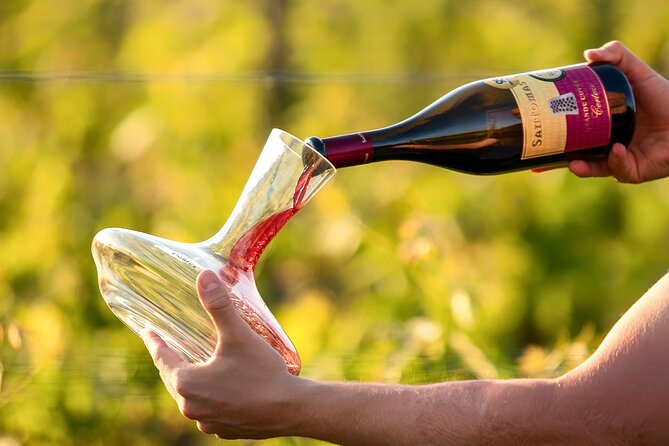 Wine Degustation in the Heart of Slovenian Istria - The Sum Up