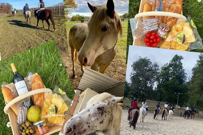 Wine Degustation, Visit and Masterclass from Vérac - Authenticity and Personal Touch