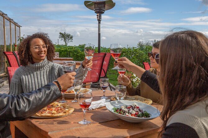 Wine Enthusiast Tour Lead by a Sommelier - Practical Details: Transportation, Group Size, and Overall Experience