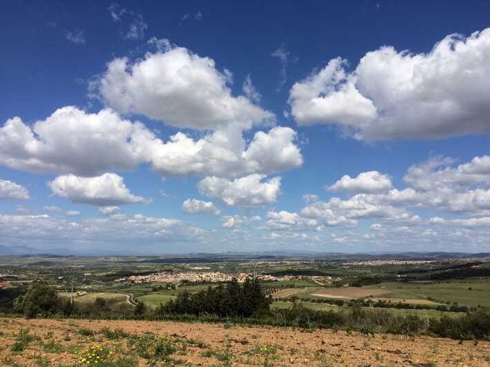 Wine Experience around Cagliari - Authenticity and Reviews: What Travelers Say