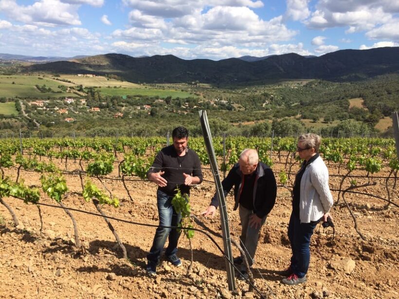 Wine Experience around Cagliari - The Sum Up: Who Will Love This Tour?