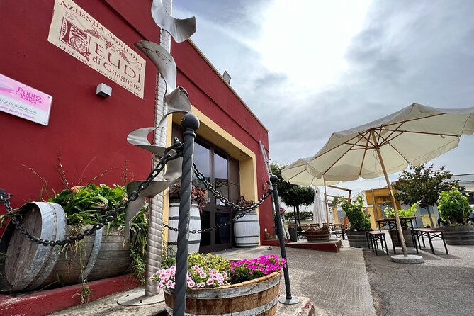 Wine Experience - Reviews and Ratings