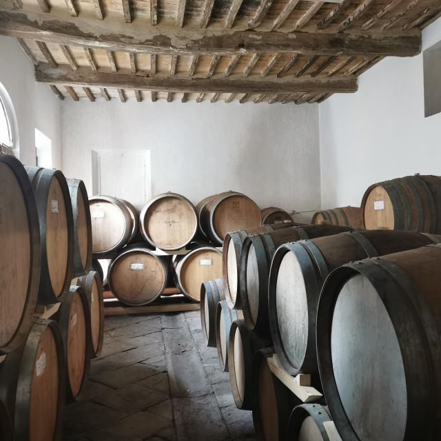 Wine Experience in an Organic Chianti Winery - Frequently Asked Questions