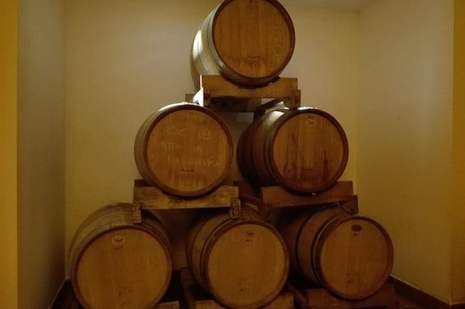 Wine Experience In Chianti Hills from Florence - Authentic Experiences & Highlights