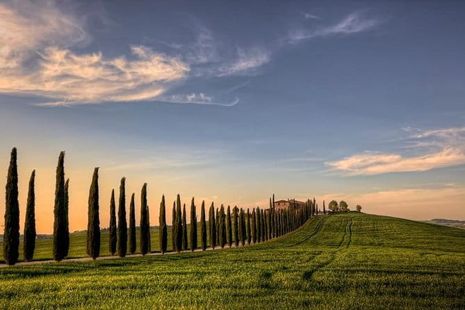 Wine Experience In Chianti Hills from Florence - Final Thoughts