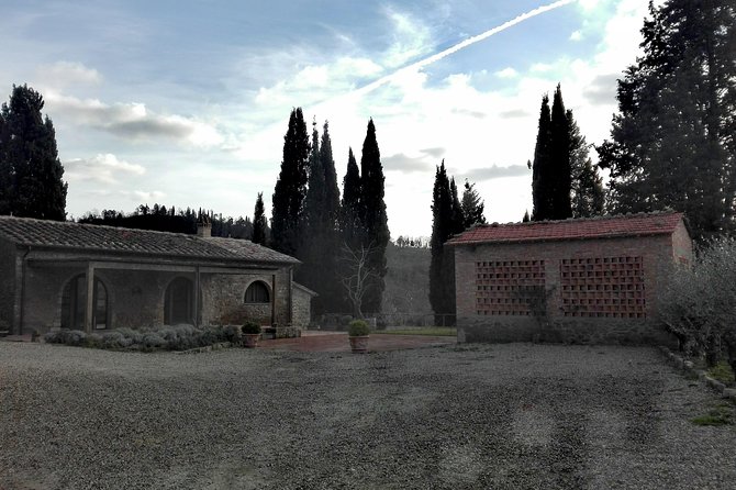 Wine Experience in Chianti Hills From Florence - The Sum Up