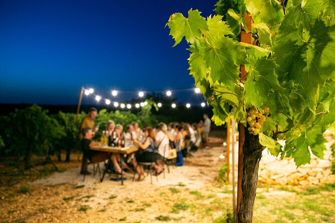 Wine Experience: Vineyard, Wines and Food - Group Size and Accessibility