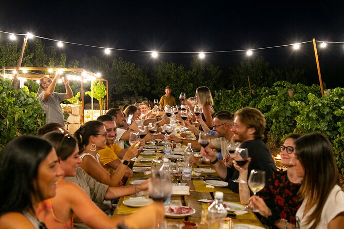 Wine Experience: Vineyard, Wines and Food - Wine Tasting and Food Pairing