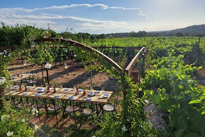 Wine Experience: Vineyard, Wines and Food - Meeting and Pickup Information