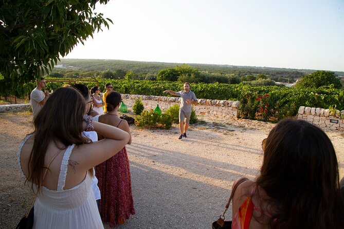 Wine Experience: Vineyard, Wines and Food - Reviews and Traveler Experiences