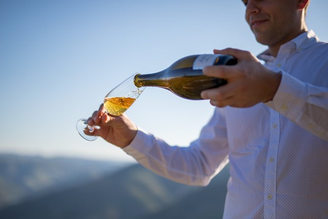 Wine Experience With a Sommelier - The Lamego Winery Experience