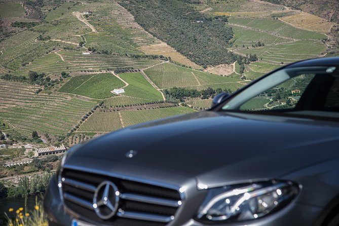 Wine Experience With a Sommelier - Private Transportation and Flexibility