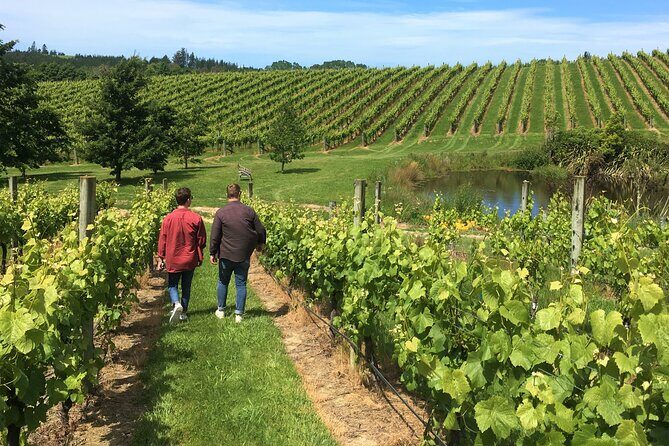 Wine Exposed Nelson Winery Tour - Exploring Nelson’s Wine Regions