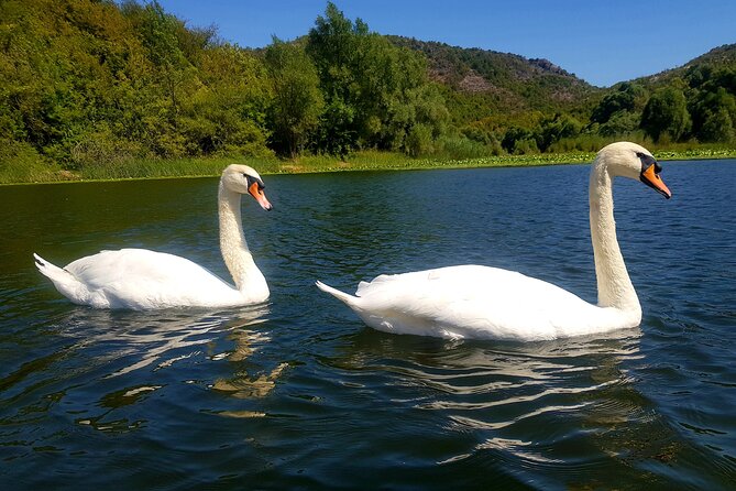 Wine & Food Pairing & Speedboat Ride to the Expansive Skadar Lake - Exploring the Medieval Town of Virpazar