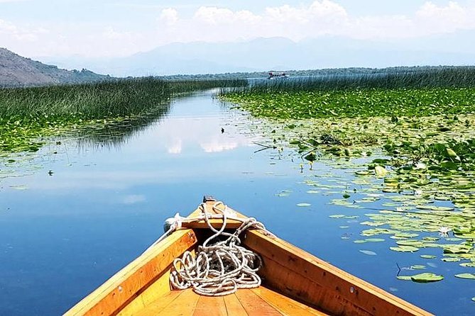 Wine & Food Pairing & Speedboat Ride to the Expansive Skadar Lake - Traditional Local Cuisine and Organic Lunch