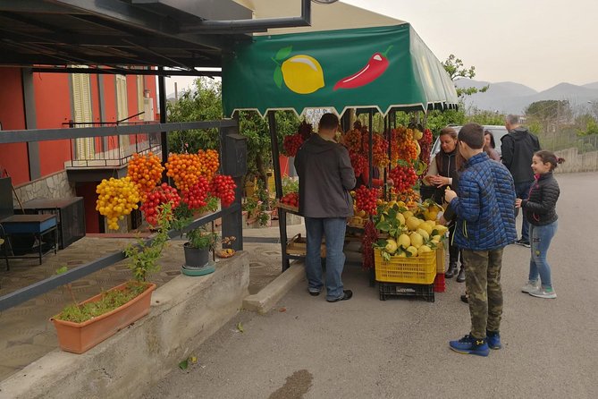 Wine & Food Tour at the Vesuvius Winery - Who Should Consider This Tour?