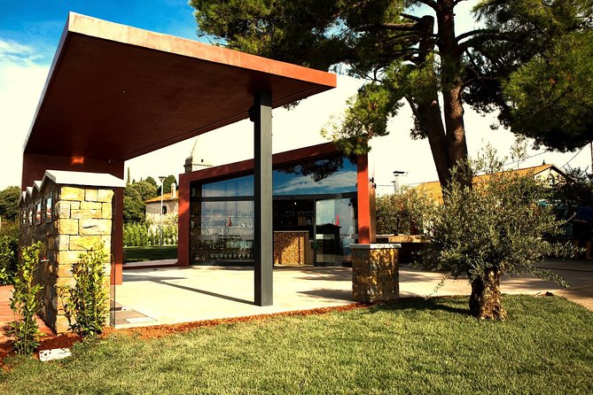 Wine Fountain Tour from Koper - Practical Tips for Travelers