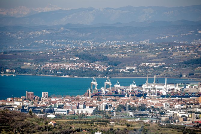 Wine Fountain Tour from Koper - Who Should Consider This Tour?