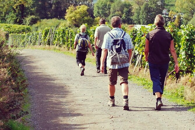 Wine Hiking Sip & Trek - An Authentic Walk Through Tuscany’s Vineyards and Forests
