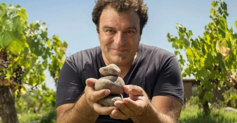 Wine Idols: Meet El Enemigo by Alejandro Vigil - Exploring the Experience