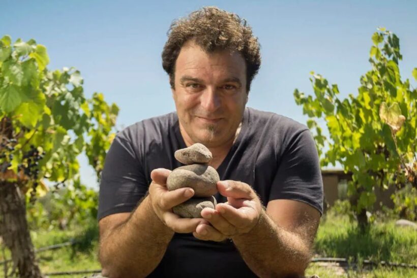 Wine Idols: Meet El Enemigo by Alejandro Vigil - Who Will Love This Tour?