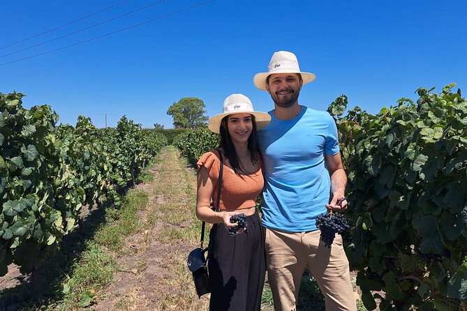 Wine Lovers - Indulge in a Fun Tasting With Light Lunch! - Taste Celebrated Tannat Grape