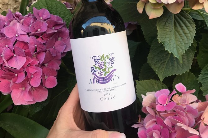Wine Lovers tour from Hvar - Who This Tour Is Perfect For