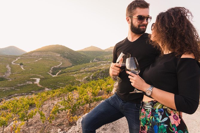 Wine Lovers Tour of Peljesac Peninsula - Wineries Visited