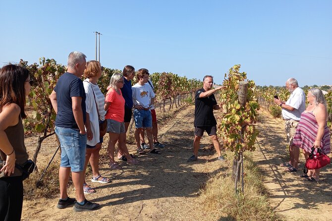 Wine Lovers: Winery Tour w/ Tasting & Tapas (Albufeira/Vilamoura) - Introduction