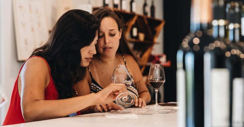 Wine Masterclass & Cheese Tasting Workshop in Bordeaux - Final Thoughts