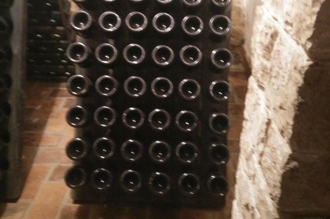 Wine & More Tour , Private Guided Wine Tour From POREC, UMAG ,Istria - Essential Tour Information
