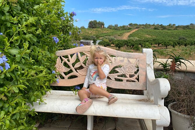 Wine Not Algarve Winery Tour - Final Thoughts