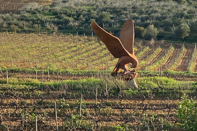 Wine Not Algarve Winery Tour - FAQ