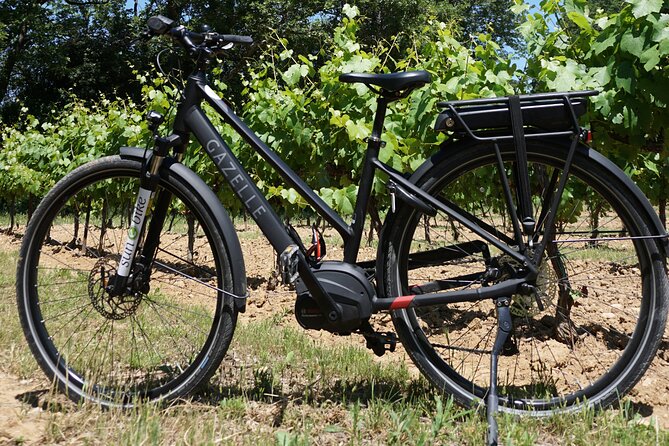 Wine of the Luberon by e-bike... Not to be missed ! - Itinerary Breakdown: What Will You See and Do?