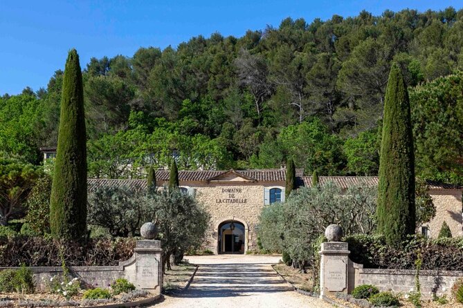 Wine of the Luberon by e-bike... Not to be missed ! - What Makes This Tour Stand Out?