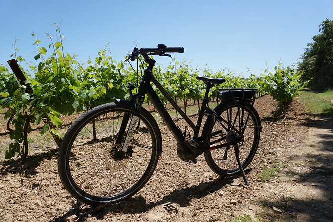 Wine of the Luberon by e-bike... Not to be missed ! - Final Thoughts