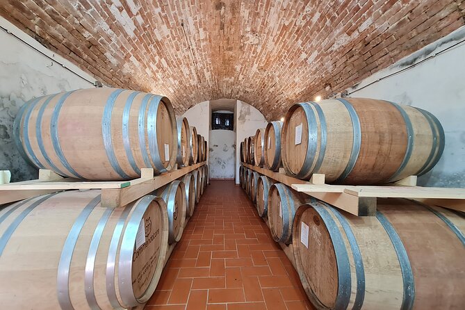 Wine & Oil Tasting Experience - Tour Activities