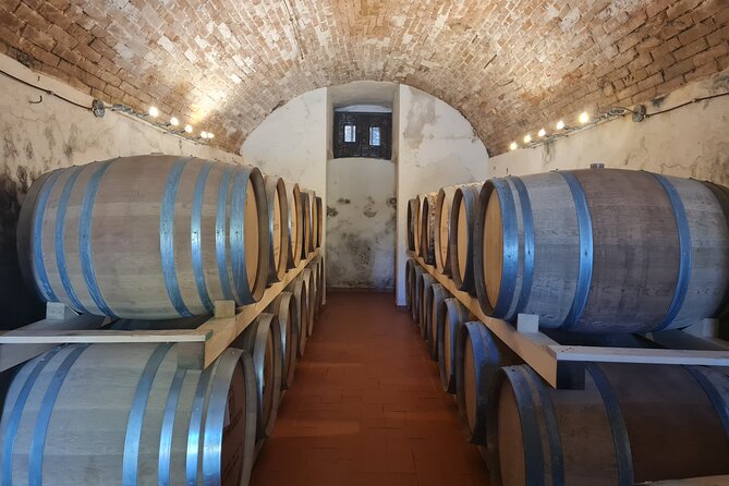 Wine & Oil Tasting Experience - Tasting Inclusions