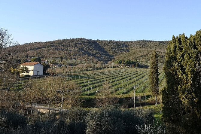 Wine & Oil Tasting Experience - Traveler Recommendations