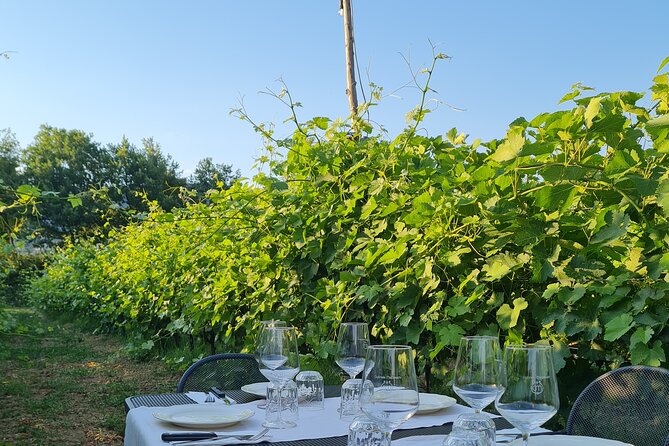 Wine & Oil Tasting Experience - Pickup and Confirmation