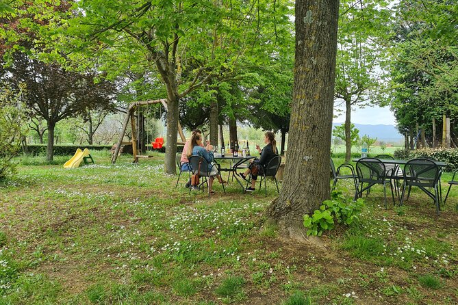 Wine & Oil Tasting Experience - Additional Details