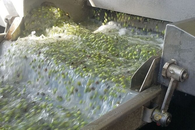 Wine, Olive Oil, and Honey Tour With Winemaker - Engaging Guide and Island Storytelling