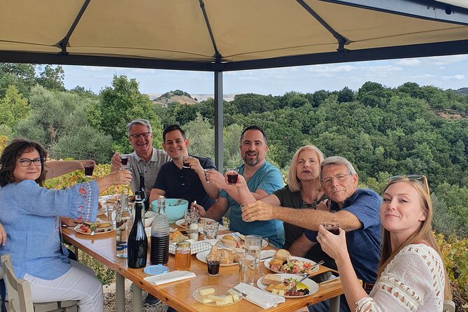 Wine, Olive Oil, and Honey Tour With Winemaker - Wine Tasting at the Vineyard