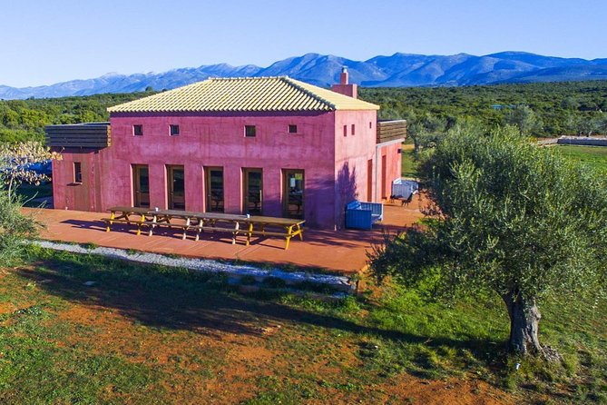 WIne & Olive Oil Tasting in an Organic Farm in Laconia, Greece! - Who Should Consider This Tour?